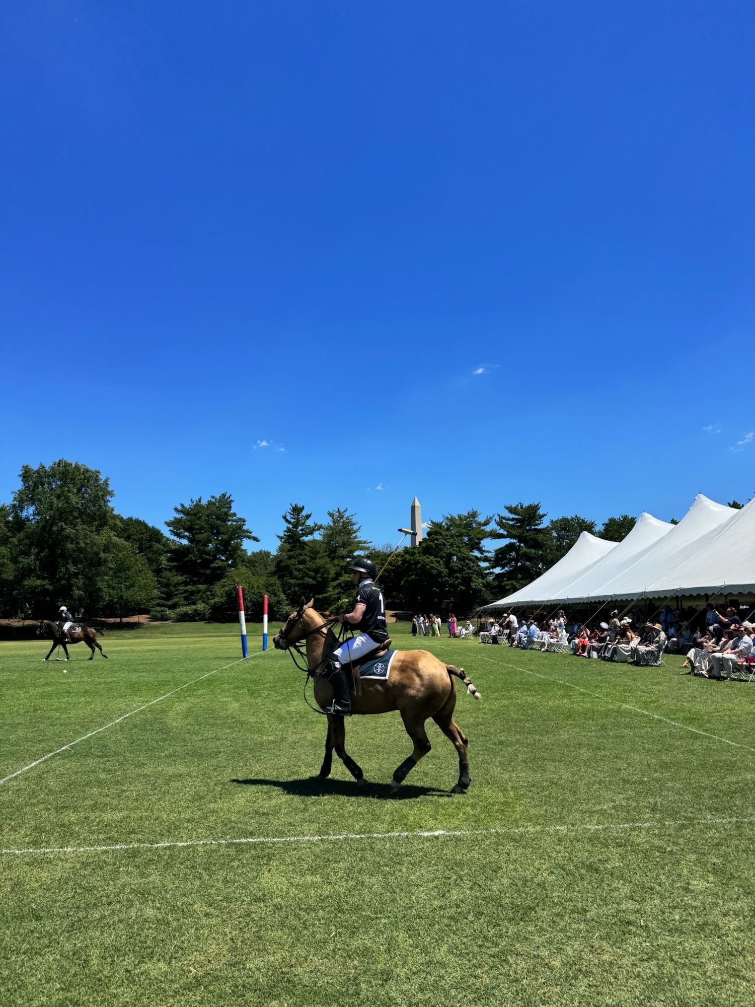 Polo | Miniskirts and margins